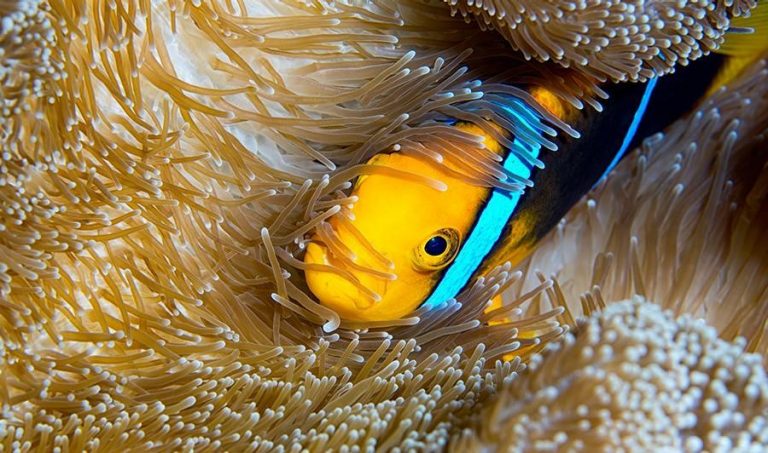 Top 10 Must Do Things While In Guam